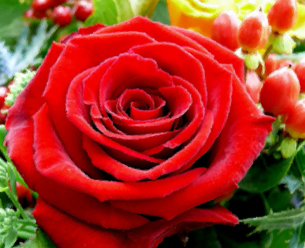 roosje - Kunst & Co - Gratis foto-albums SeniorenNet